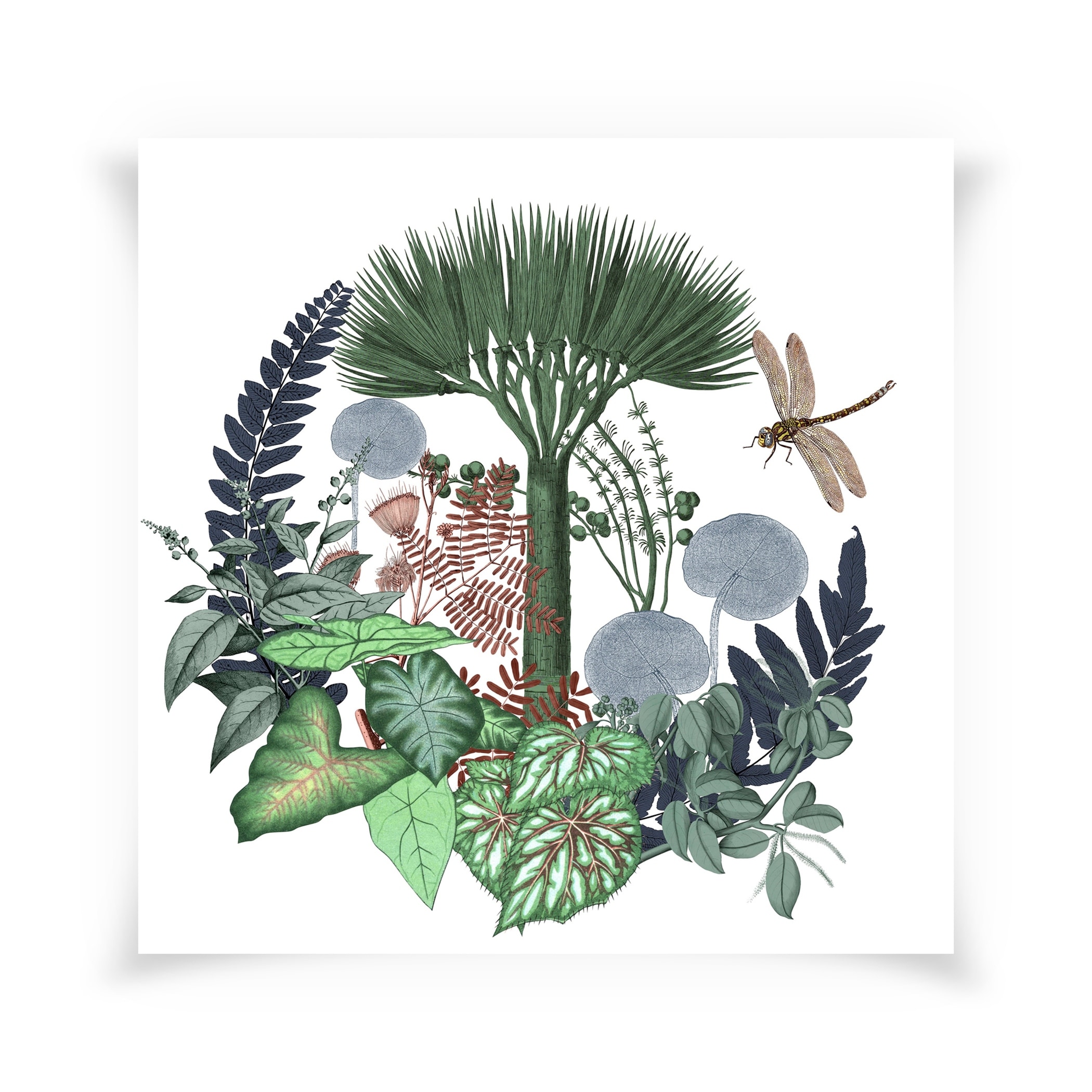 Nature Creative - Nature Circles 6 - Unframed Wall Art - Multi 32 x 32 ...