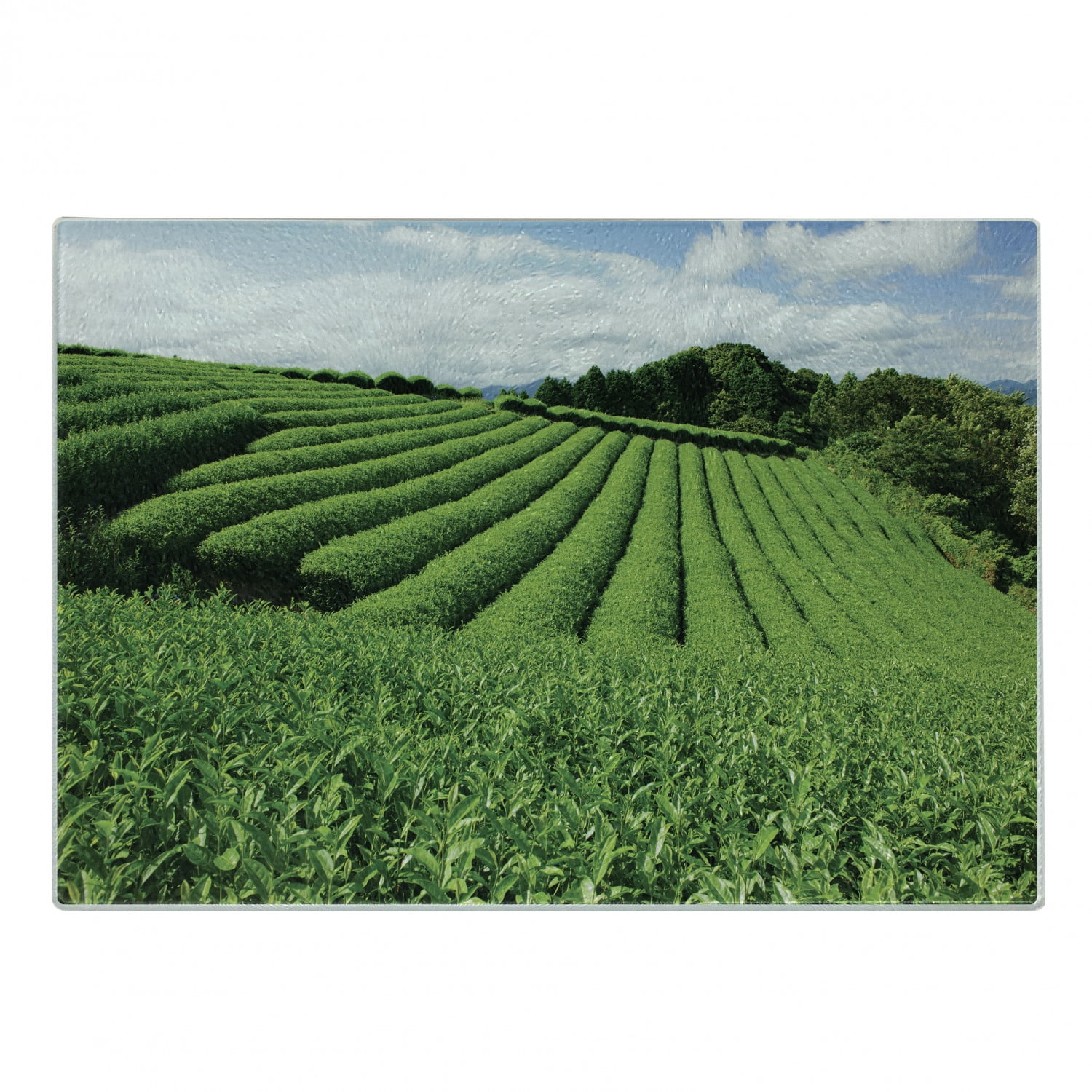 Nature Cutting Board, Landscape Tea Fields Surrounding with Forest ...