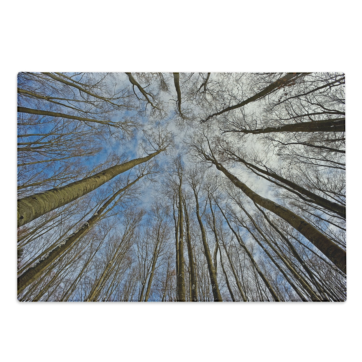 Nature Cutting Board, Skyward Image of Leafless Twiggy Tree Trunk ...