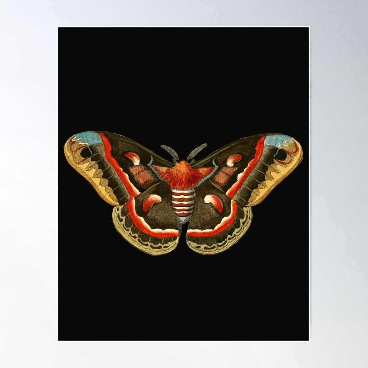 Nature Dark Academia Botanical Butterfly Moth Dark Academia Poster Wall ...