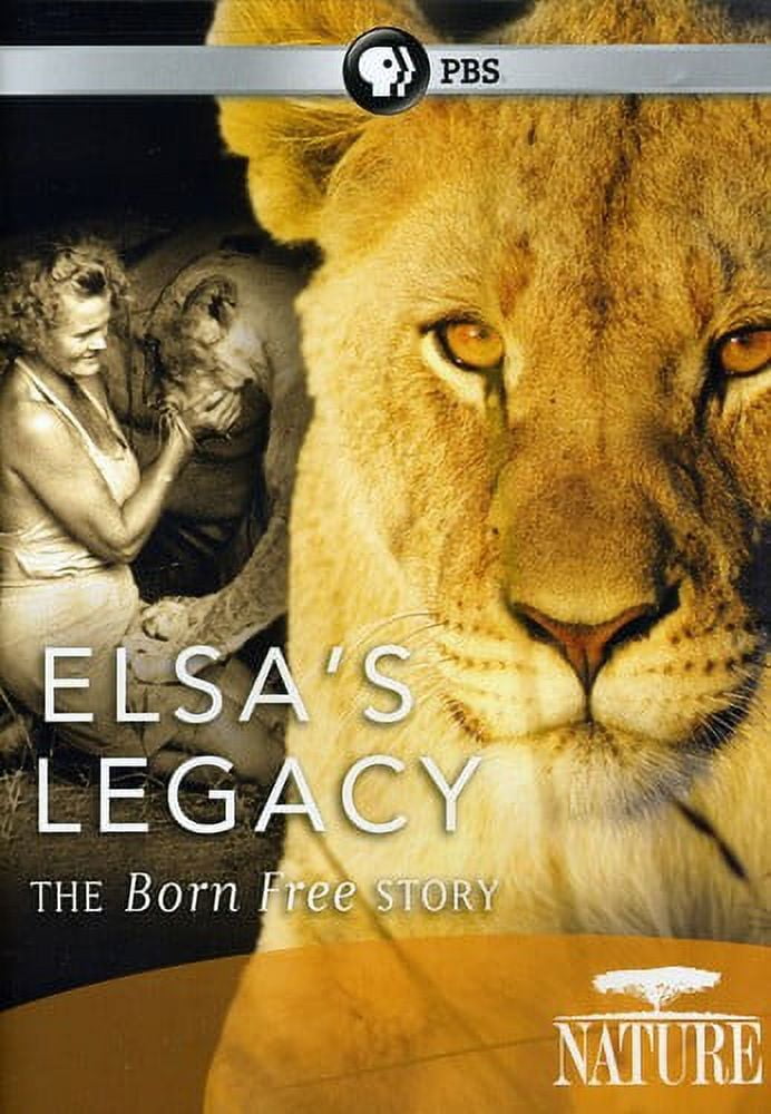 Nature: Elsa's Legacy: The Born Free Story (DVD), PBS (Direct), Special ...