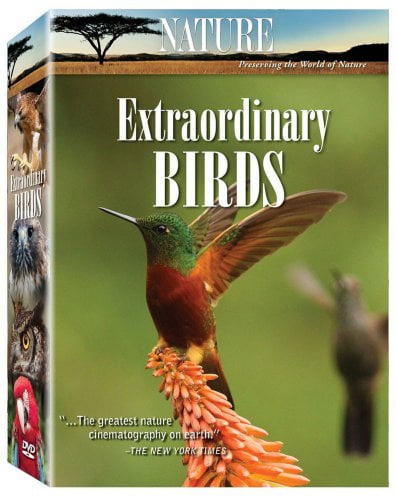 Pre-Owned Nature: Extraordinary Birds - Walmart.com