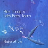 Nature Flow (CD) - Walmart.com