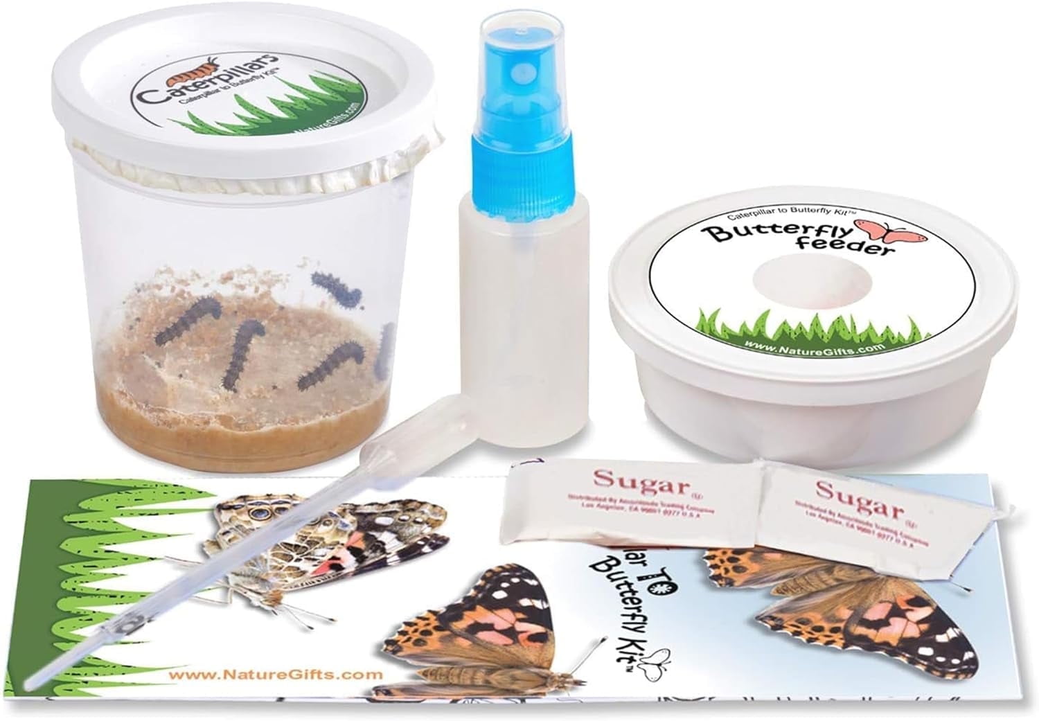 Shipped With Live Caterpillars – Nature Gift Store 5-Caterpillar Refill ...