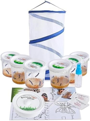 Nature Gifts Live Butterfly Kit - School-Sized Educational Experience ...