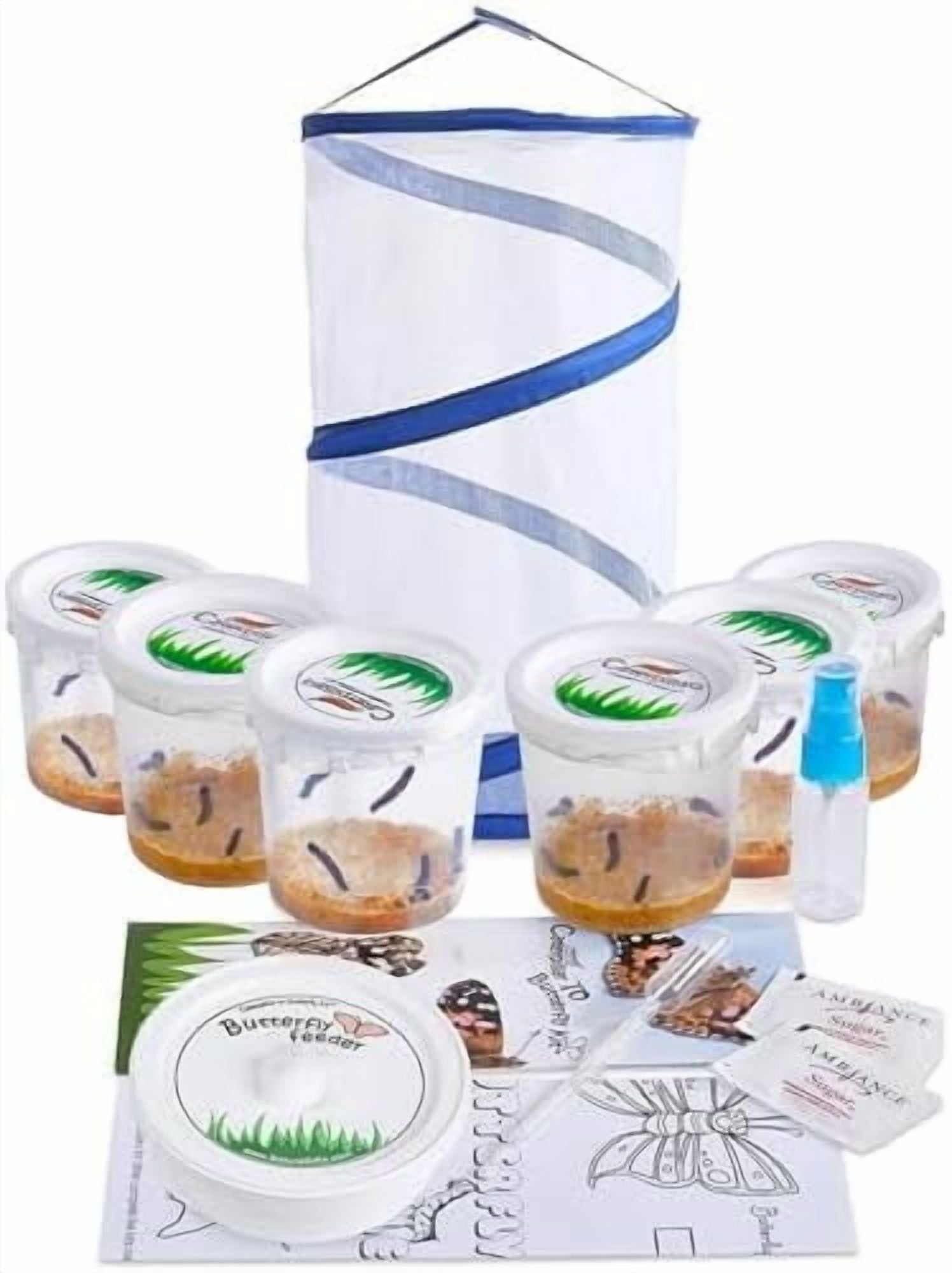 Nature Gifts Live Butterfly Kit - School-Sized Educational Experience ...