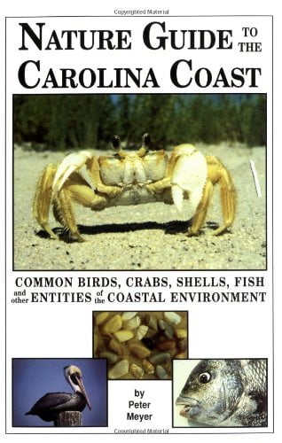 Pre-Owned Nature Guide to the Carolina Coast: Common Birds, Crabs, Shells, Fish, and Other ...