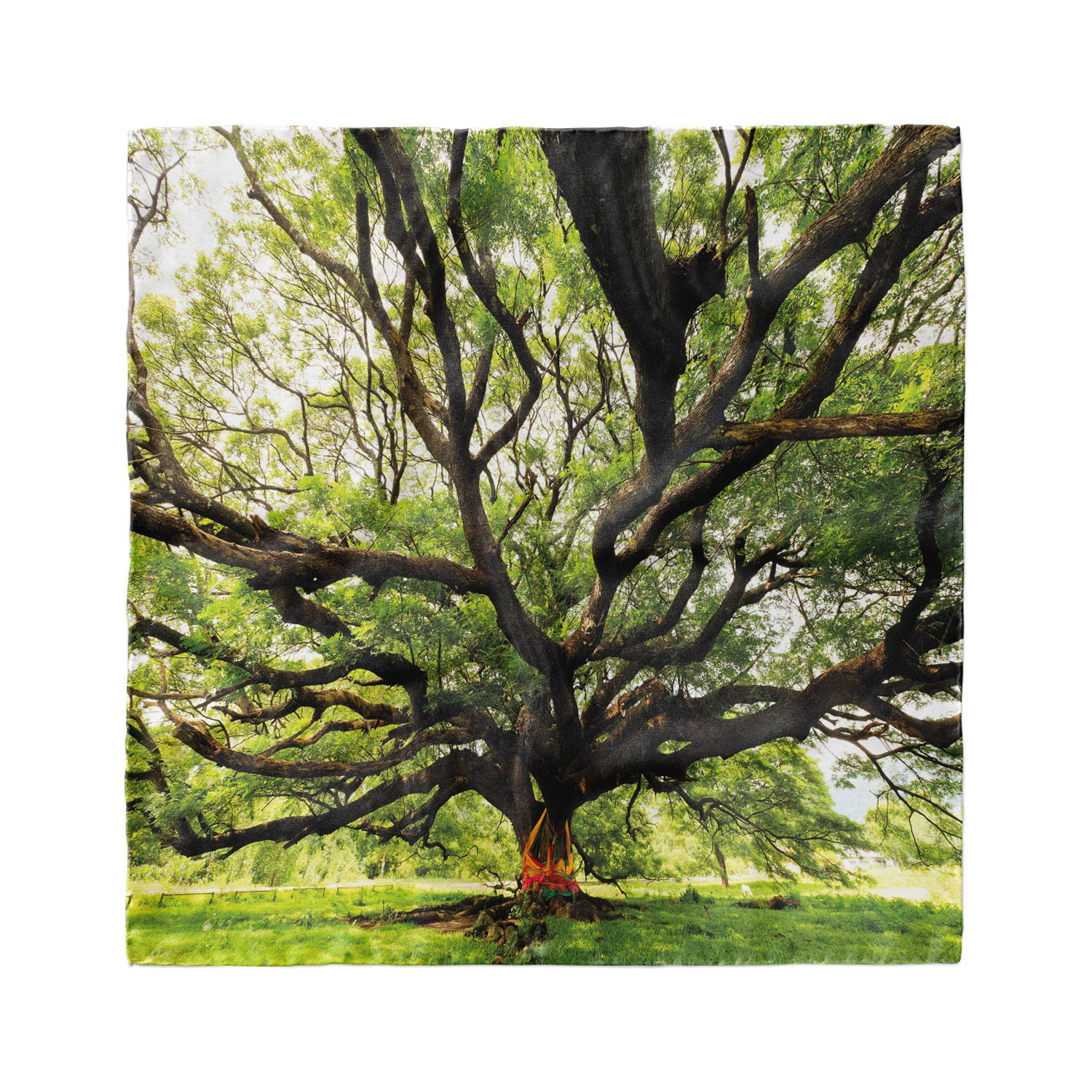Nature Head Scarf, Majestic Tree Thailand, Head Wrap, 3 Sizes, by ...