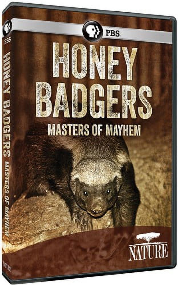 Nature: Honey Badgers: Masters of Mayhem (DVD) - Walmart.com