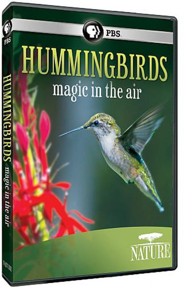 Nature: Hummingbirds: Magic in the Air (DVD), PBS (Direct), Special ...
