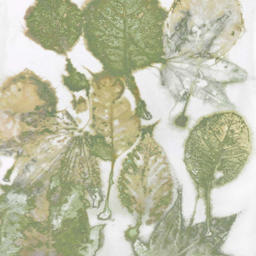 Nature I Poster Print by Danielle Carson (24 x 24) # DLC114103 ...