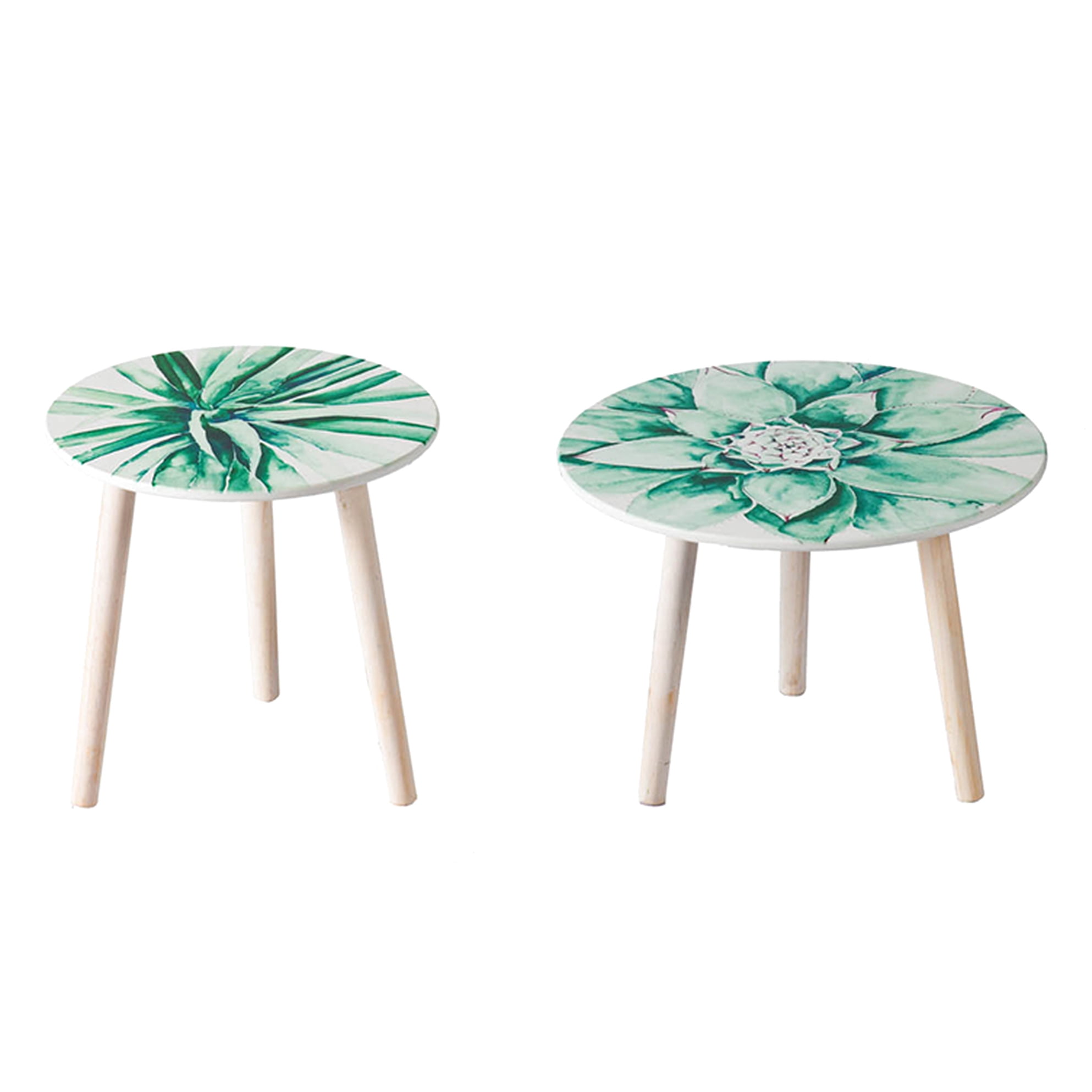 Nature Inspired Side Tables Of Two - With Watercolor Succulent Patterns ...