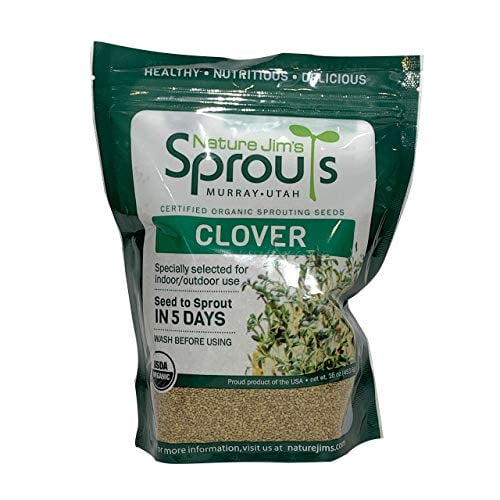 Nature Jims Clover Sprout Seeds - 16Oz Organic Sprouting Seeds - Non ...