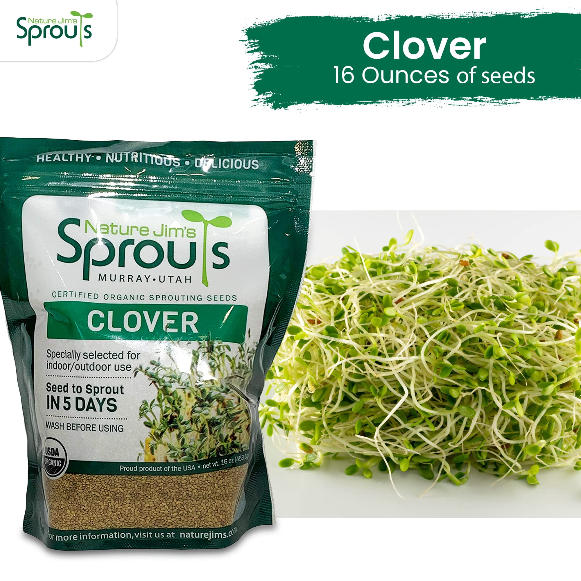 Nature Jims Sprout/Sprouting AJH3 Seeds, Clover - Organic Non-GMO ...
