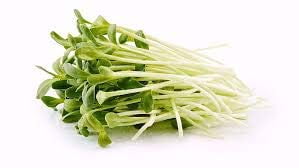 Nature Jims Sprouts Seeds - Certified H2FSDOrganic Black Sprouts for ...