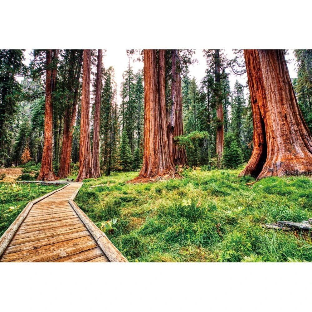 Nature Landscape Backdrop Sunset Evening Sunset Mountains Backpacker ...