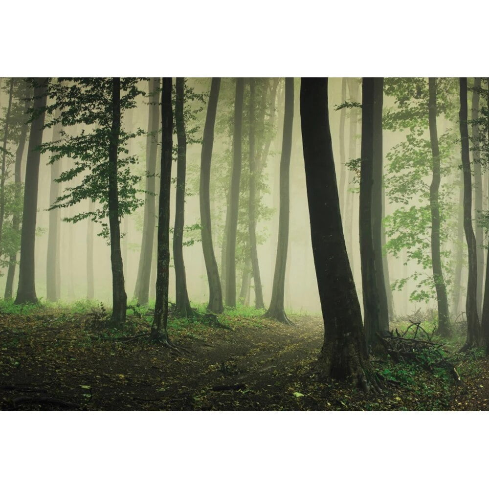 Nature Landscape Backdrop Sunset Evening Sunset Mountains Backpacker ...