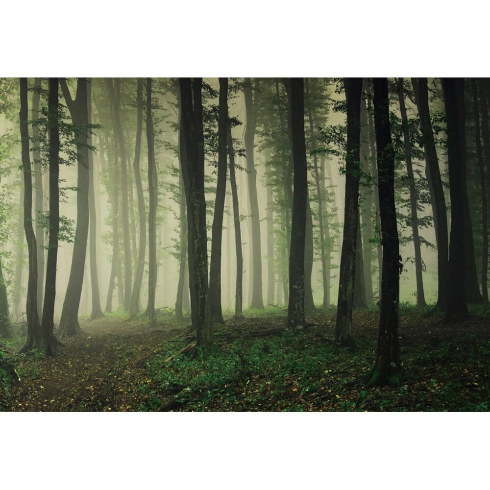 Nature Landscape Backdrop Sunset Evening Sunset Mountains Backpacker ...