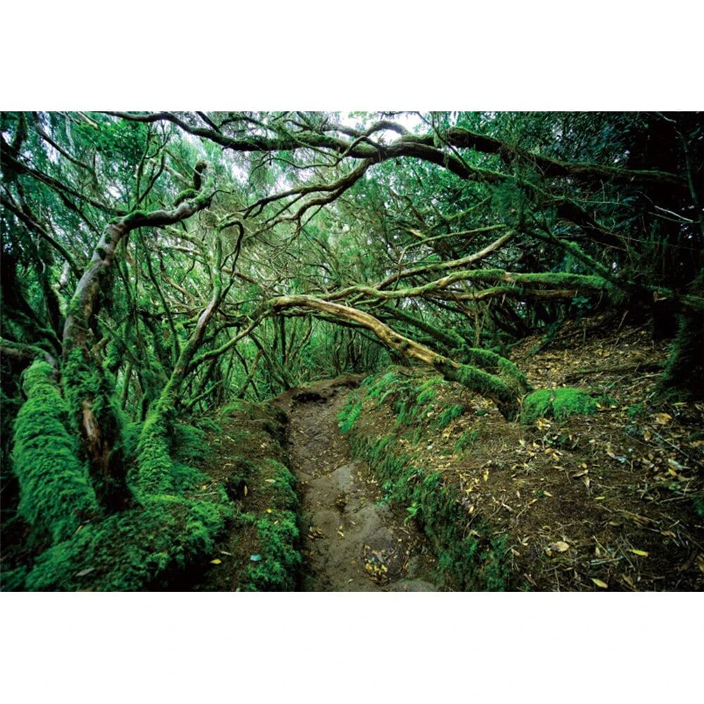 Nature Landscape Backgrounds Farm Meadow Sky Desert Landscape Spring ...