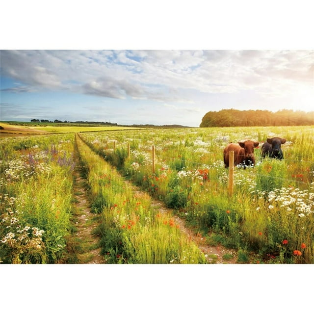 Nature Landscape Backgrounds Farm Meadow Sky Desert Landscape Spring ...