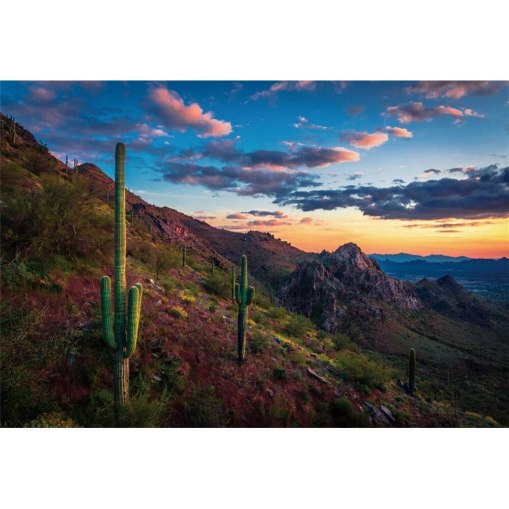 Nature Landscape Backgrounds Farm Meadow Sky Desert Landscape Spring ...