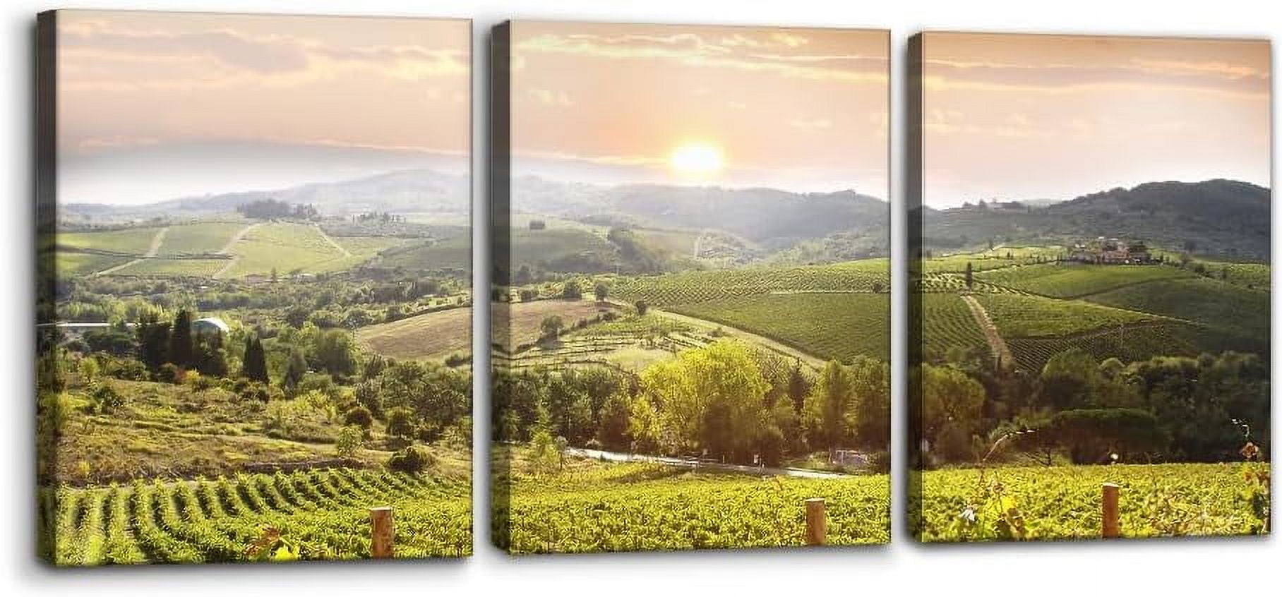 Nature Landscape Canvas Wall Art Vineyard Landscape in Tuscany Italy ...