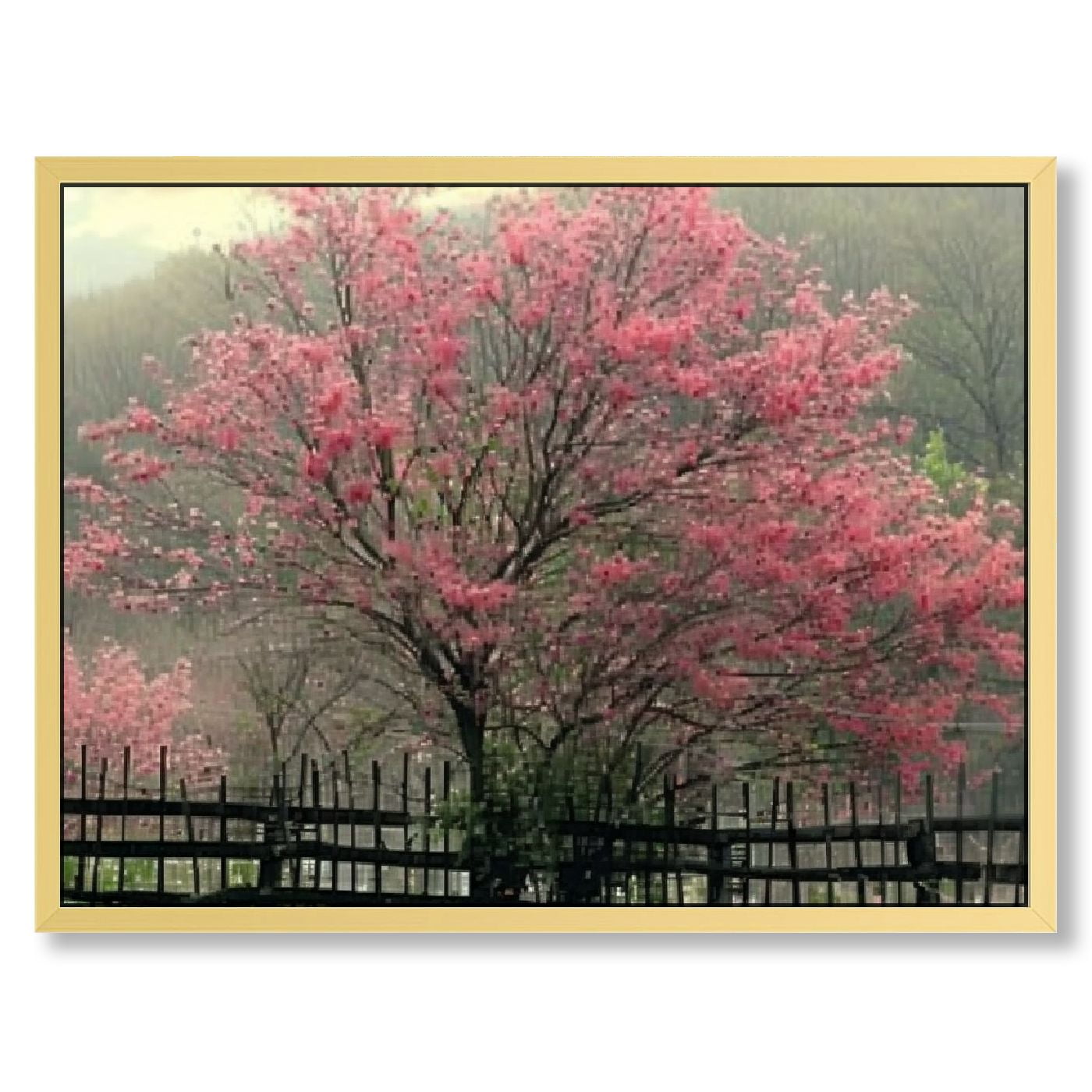 Nature Landscape Flowering Wall Decor Rustic Redbud Tree Grove in Bloom ...