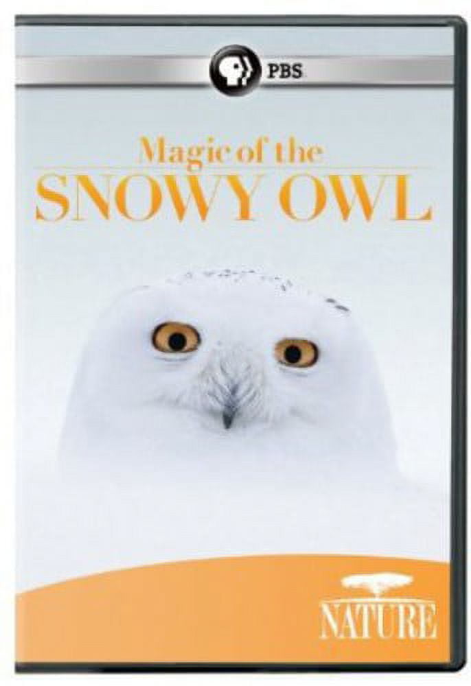 Nature: Magic of the Snowy Owl (DVD), PBS (Direct), Special Interests ...