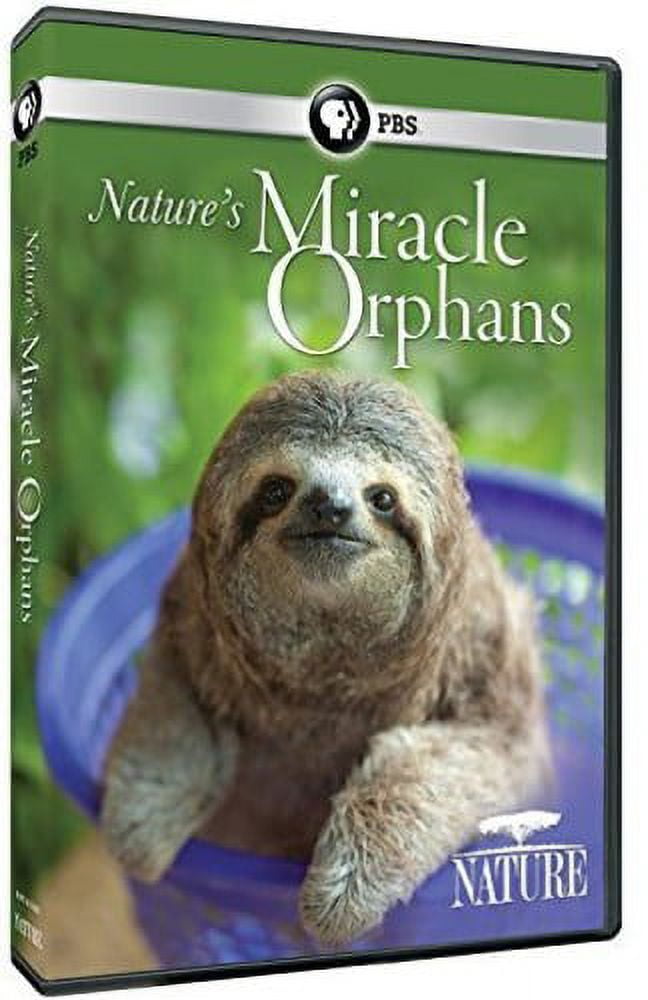 Nature: Nature's Miracle Orphans (DVD) - Walmart.com