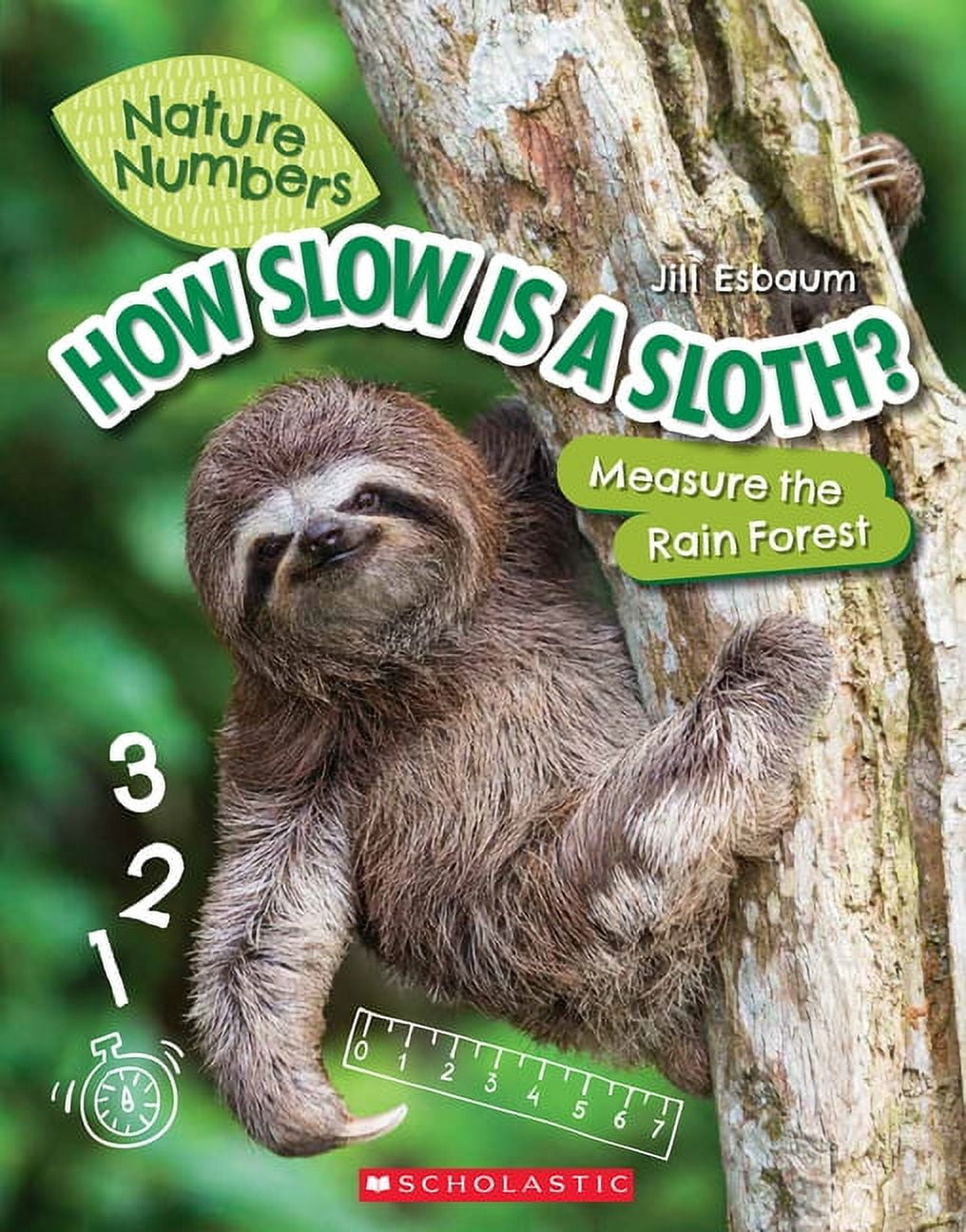 Nature Numbers: How Slow Is a Sloth?: Measure the Rainforest (Nature ...