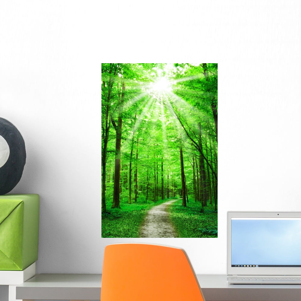 Nature Path Forest with Wall Mural by Wallmonkeys Peel and Stick ...
