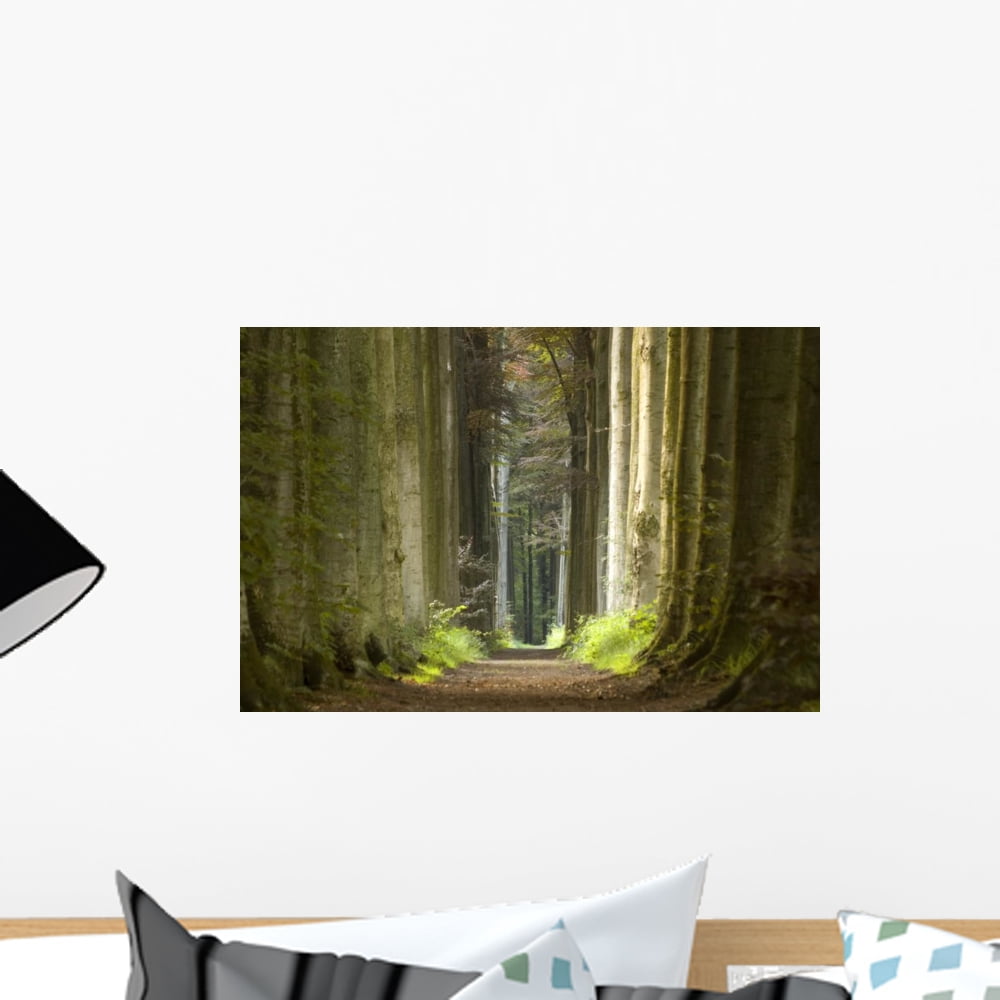Nature Pathway Wall Mural Decal Sticker, Wallmonkeys Peel & Stick Vinyl ...