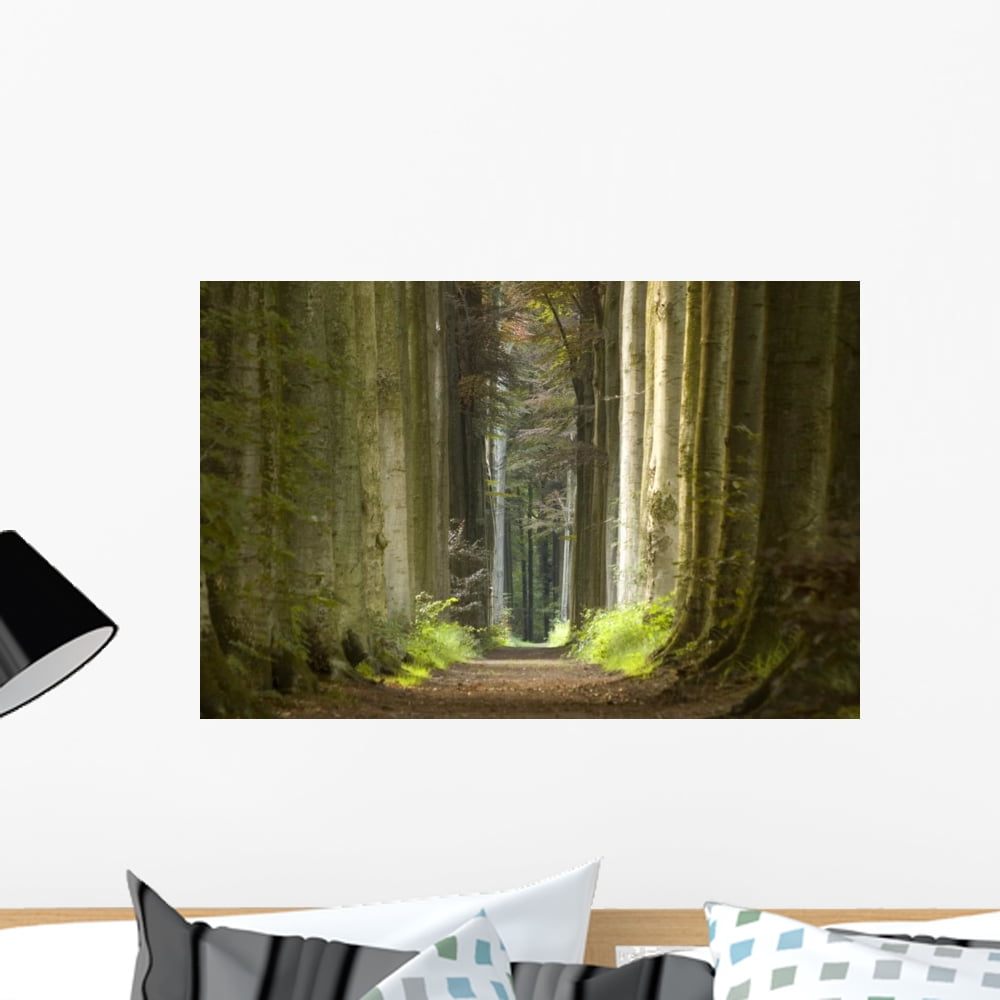 Nature Pathway Wall Mural Decal Sticker, Wallmonkeys Peel & Stick Vinyl ...