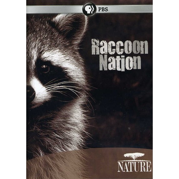 Nature - Raccoon Nation [DVD] - Walmart.com