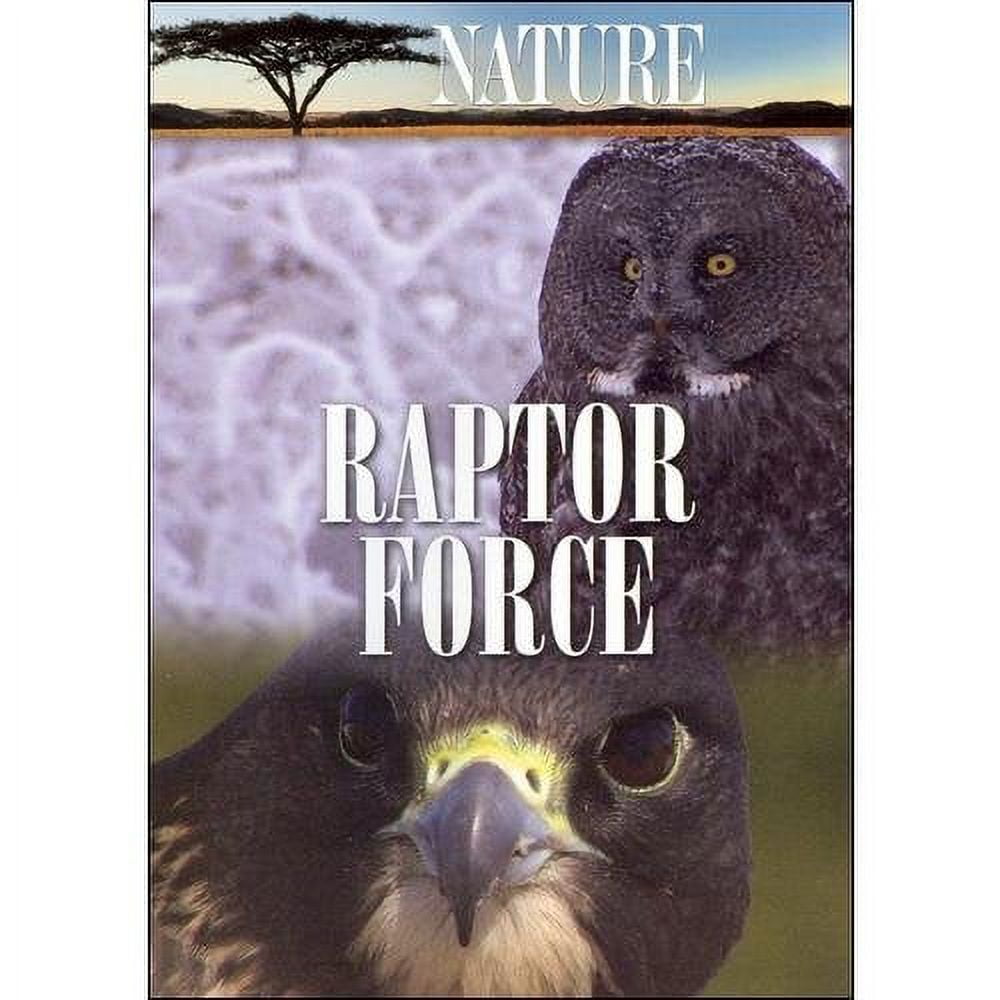 Pre-Owned Nature: Raptor Force - Walmart.com