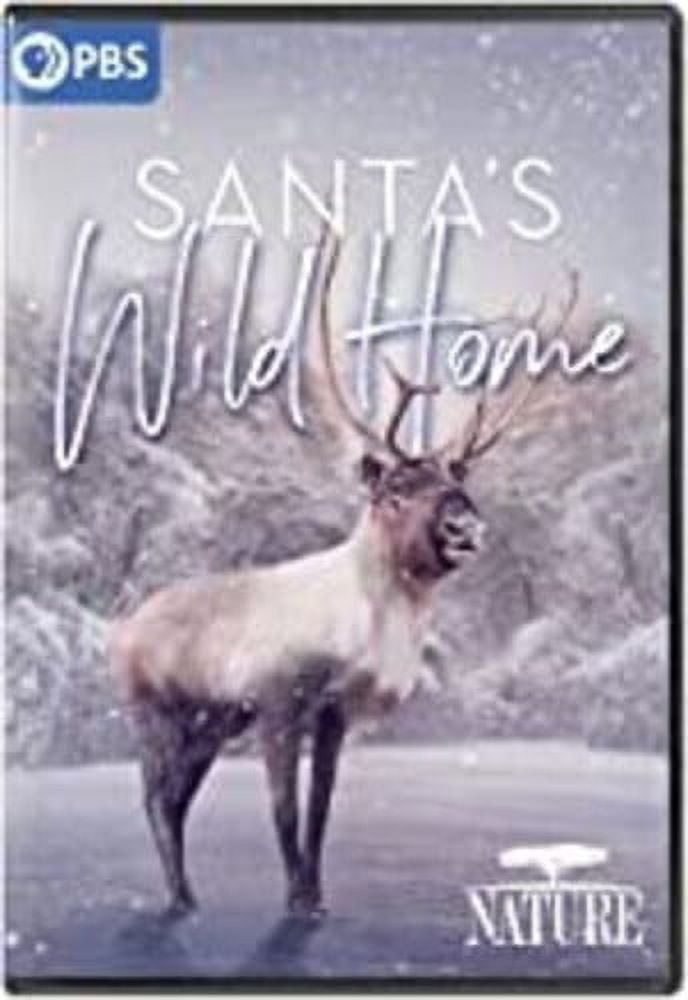 Nature: Santa's Wild Home (DVD), PBS (Direct), Documentary - Walmart.com