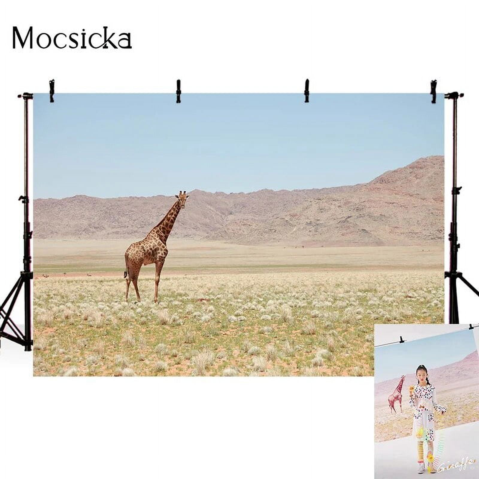 Nature Scenery Photography Backdrops Children Portrait Photo Background ...