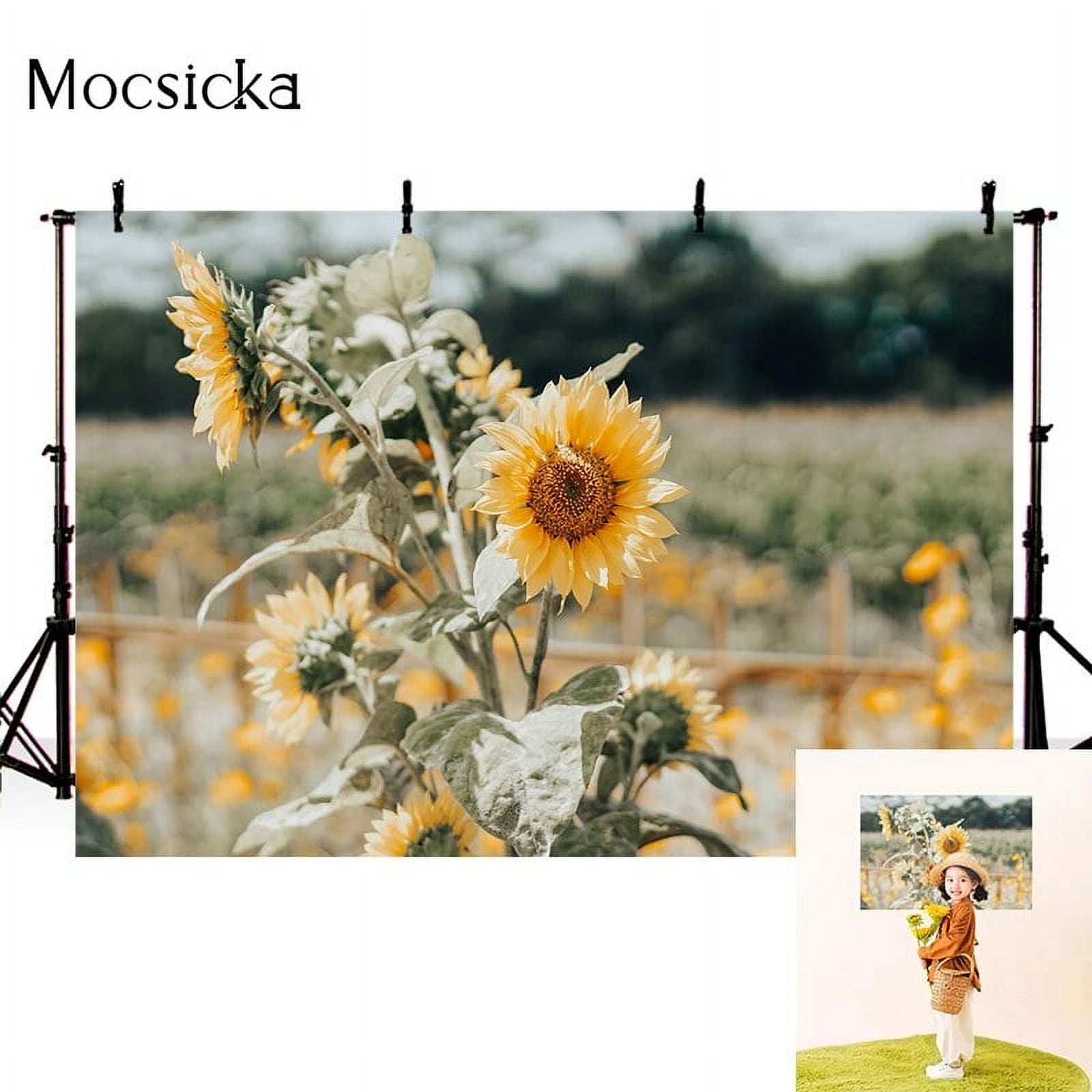 Nature Scenery Photography Backdrops Children Portrait Photo Background ...