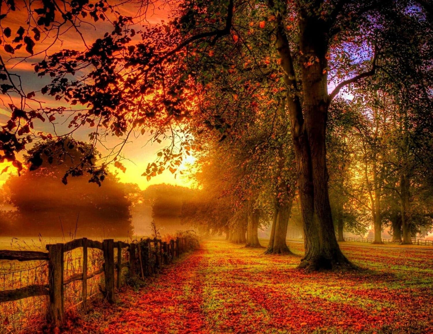 Nature Series Autumn Forest Beautiful Rural Scenery Jigsaw Puzzles for ...