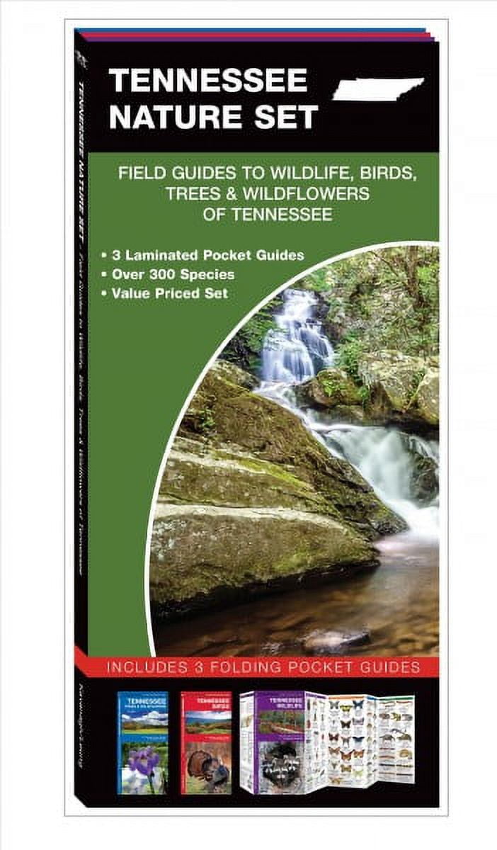 Nature Set: Tennessee Nature Set : Field Guides to Wildlife, Birds ...