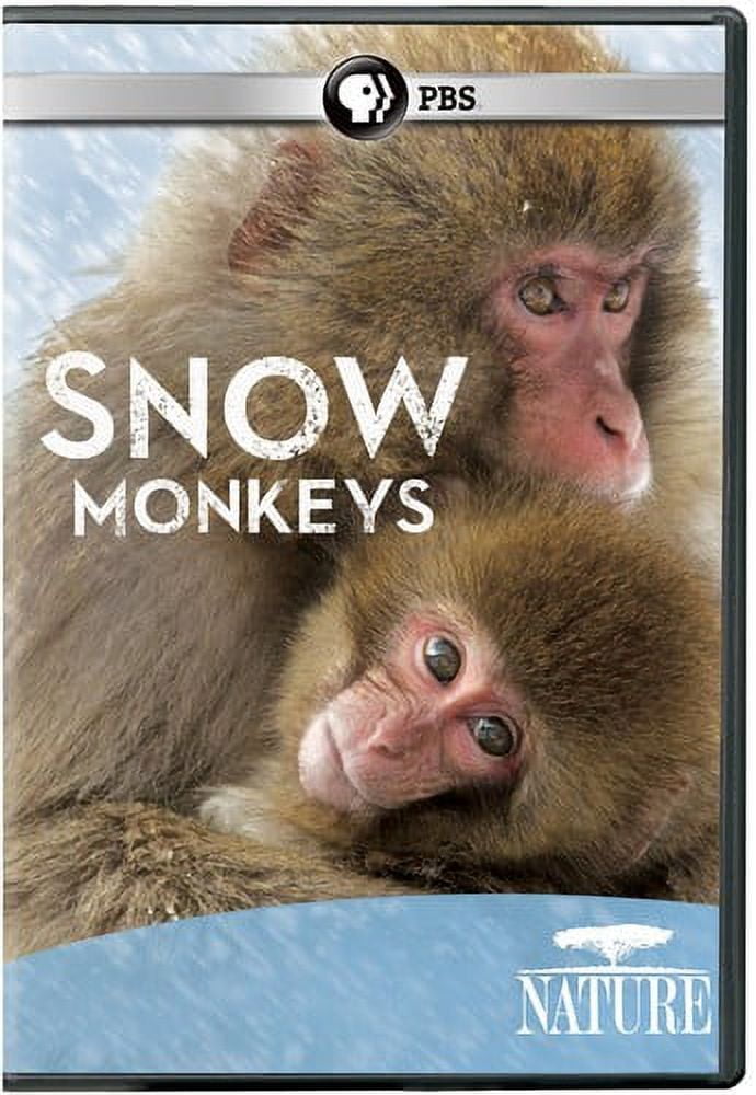 Nature: Snow Monkeys (DVD) - Walmart.com