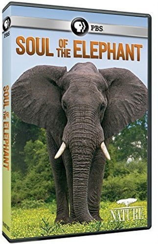 Nature: Soul of the Elephant (DVD), PBS (Direct), Special Interests ...
