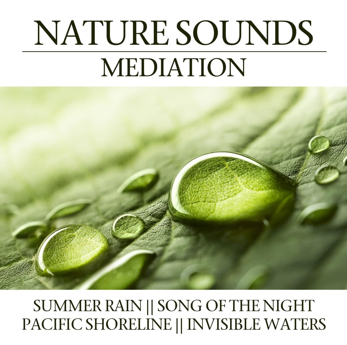 Various Nature Sounds Meditation (CD) - Walmart.com
