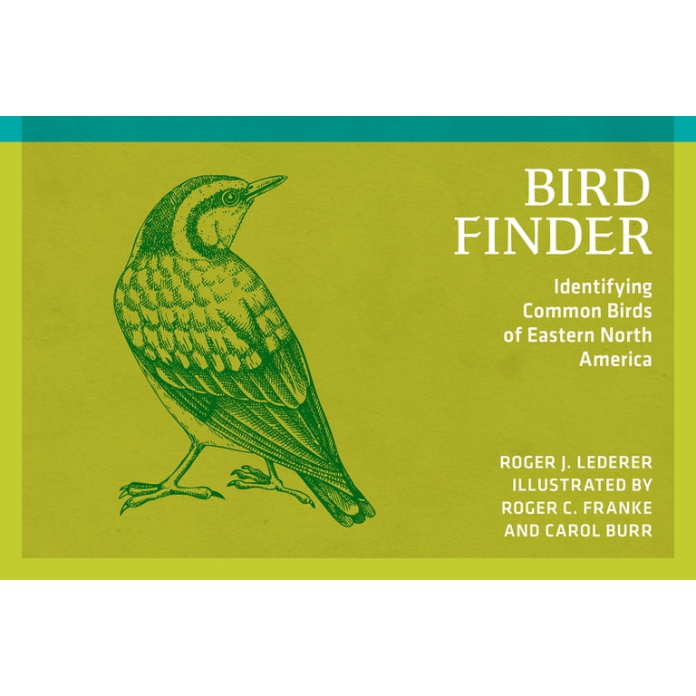 Common Birds Of North America