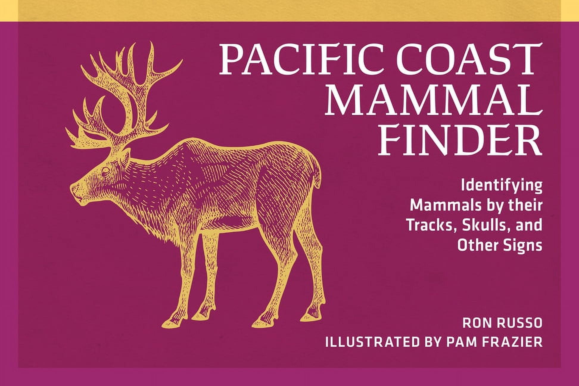 Nature Study Guides: Pacific Coast Mammal Finder: Identifying Mammals ...