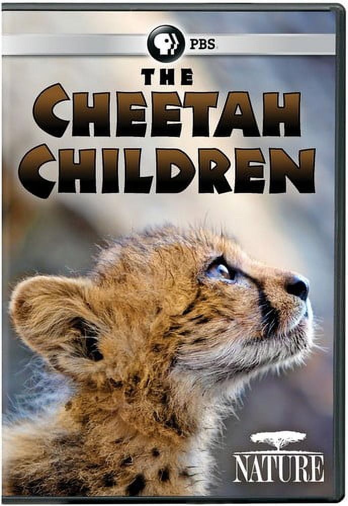 Nature: The Cheetah Children (DVD), PBS (Direct), Special Interests ...