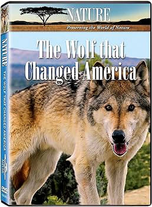 Nature: The Wolf That Changed America - Walmart.com