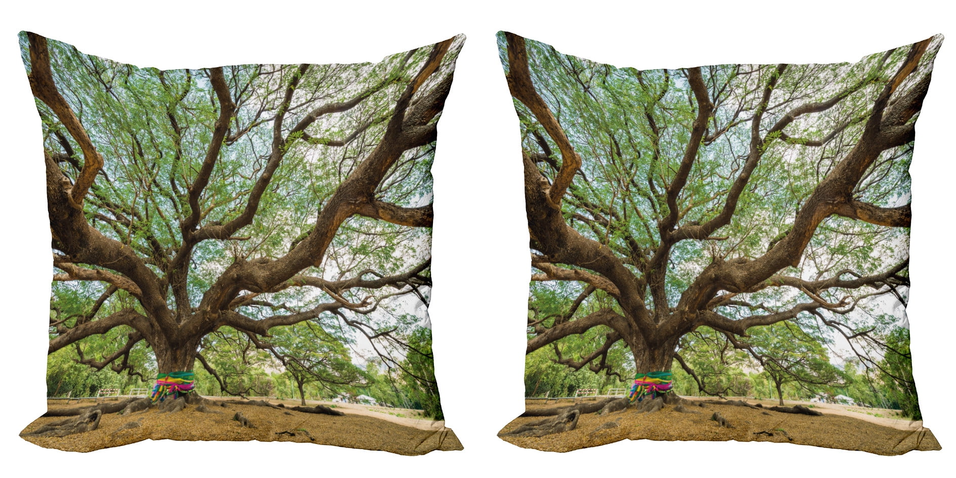 Ambesonne Nature Throw Pillow Cover 2 Pack, Big Rain Tree Thailand, 16 ...