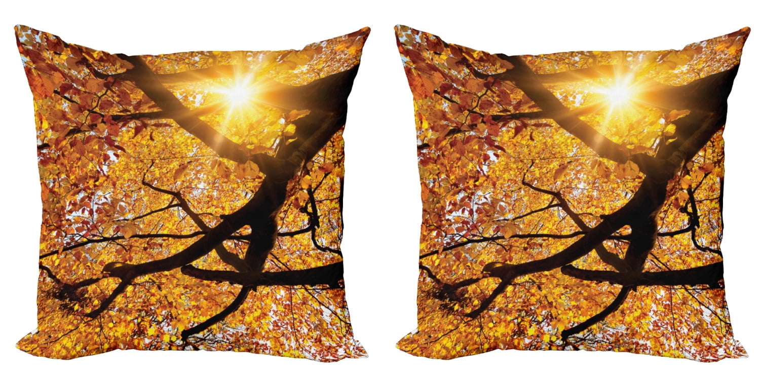 Ambesonne Nature Throw Pillow Cover 2 Pack, Sun in October Harvest, 24 ...