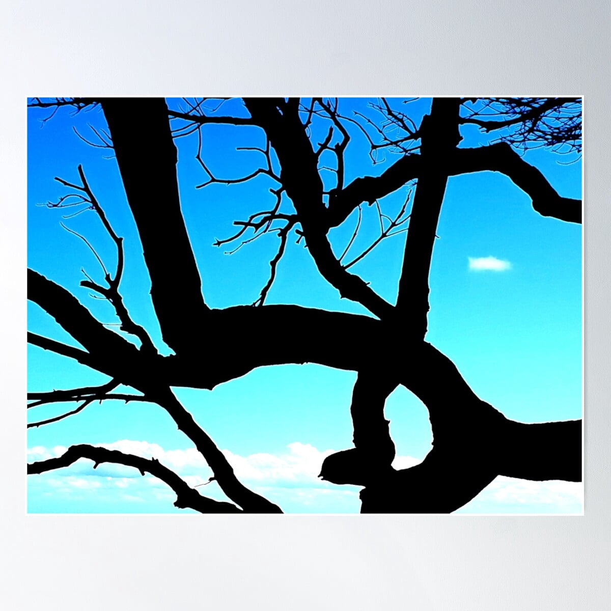 Nature Vibes Coastal Dã©Cor 4 Of 4 - Cool Blue Sky Seaside Tree ...